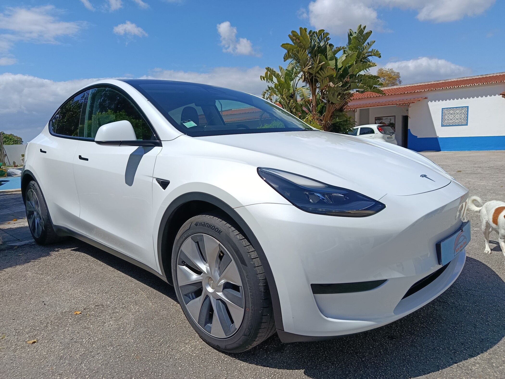 Tesla Model Y Tração Traseira com 55 000 km por 34 950 € Auto Bela Rosa ...